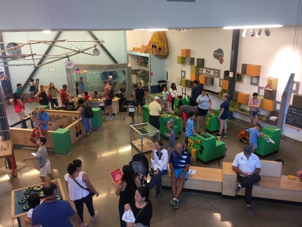 Things To Do In Austin Texas With Kids - Family Fun in Austin ...