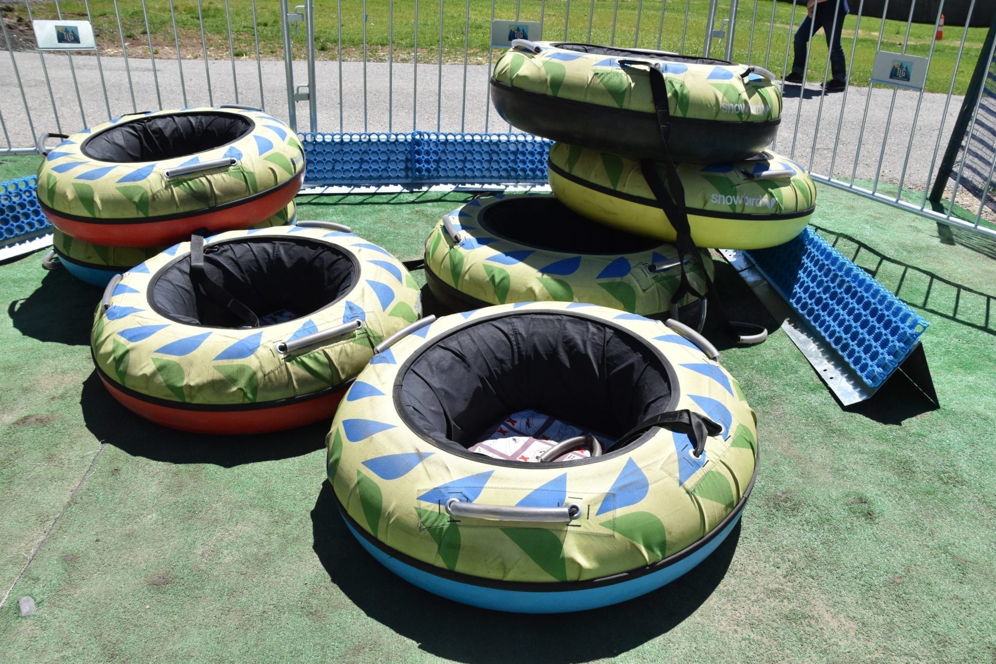 Snowbird In The Summer (The Best 10 Summer Activities For Kids At ...