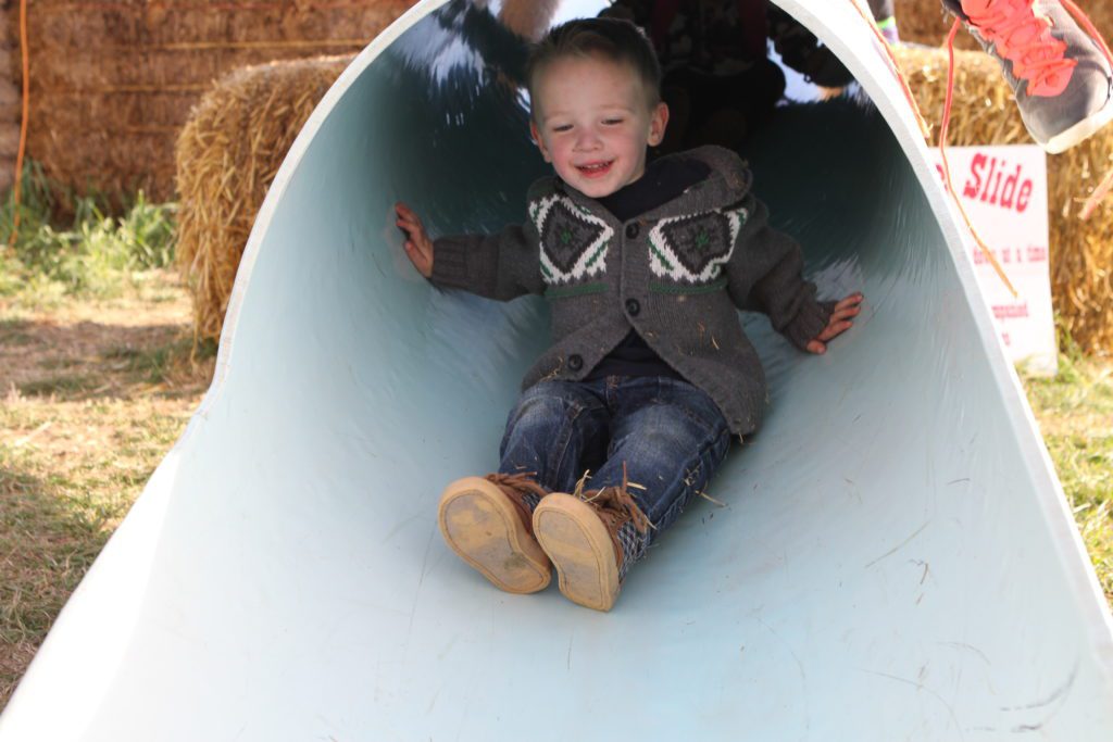 35 Amazing Things To Do In Utah With Kids – Planning Away