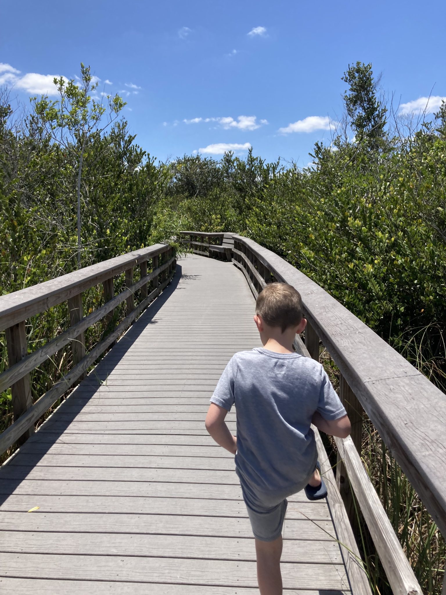 Visit The Amazing Shark Valley Bike Trail and Vistor Center ...