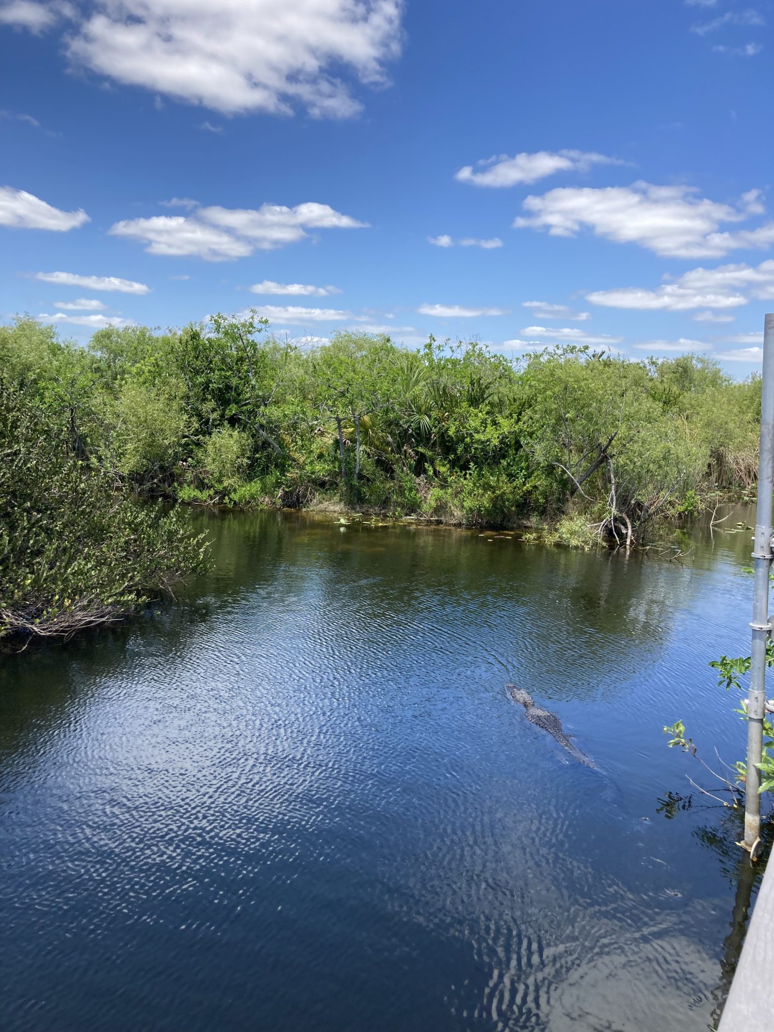 Visit The Amazing Shark Valley Bike Trail and Vistor Center ...