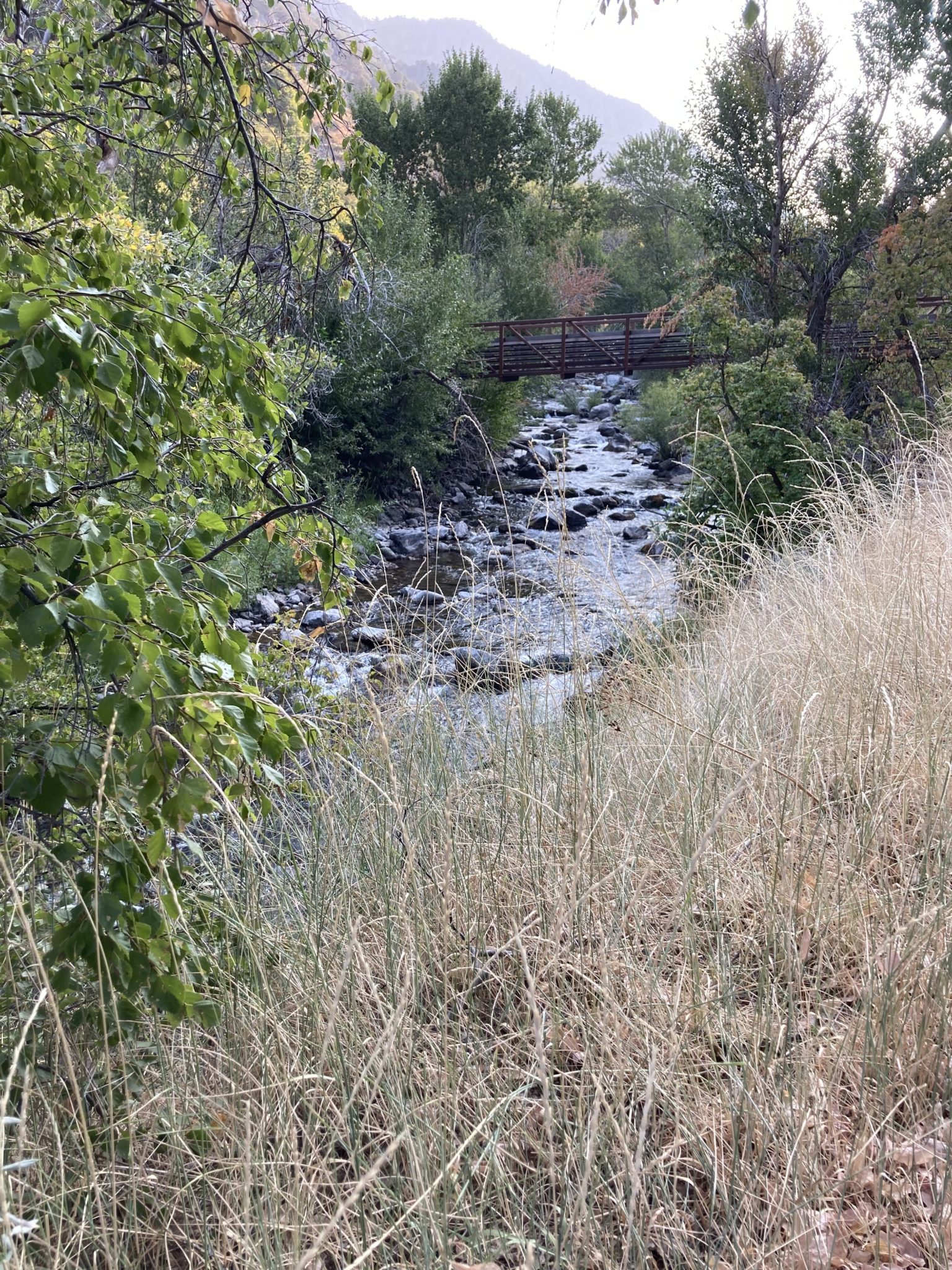 15 Best Fall Drives in Utah (See The Fall Colors in Utah!) – Planning Away