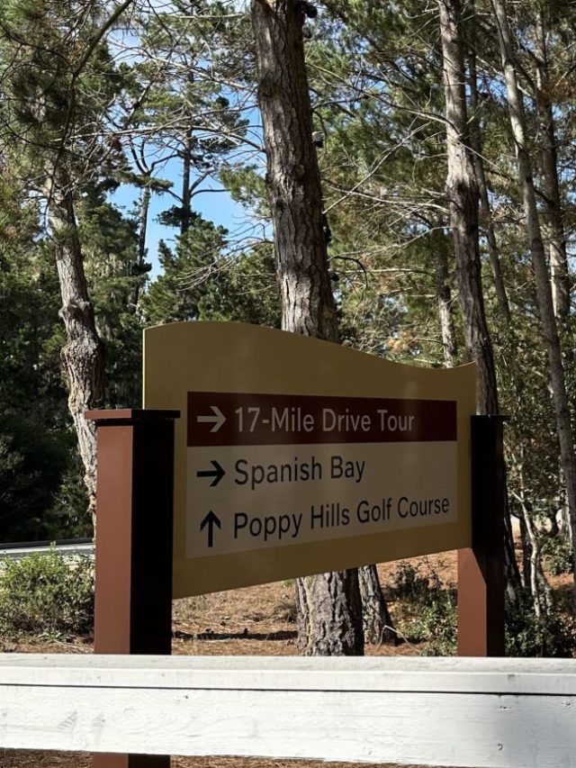 The Best 17-Mile Drive Stops (Monterey to Carmel) – Planning Away