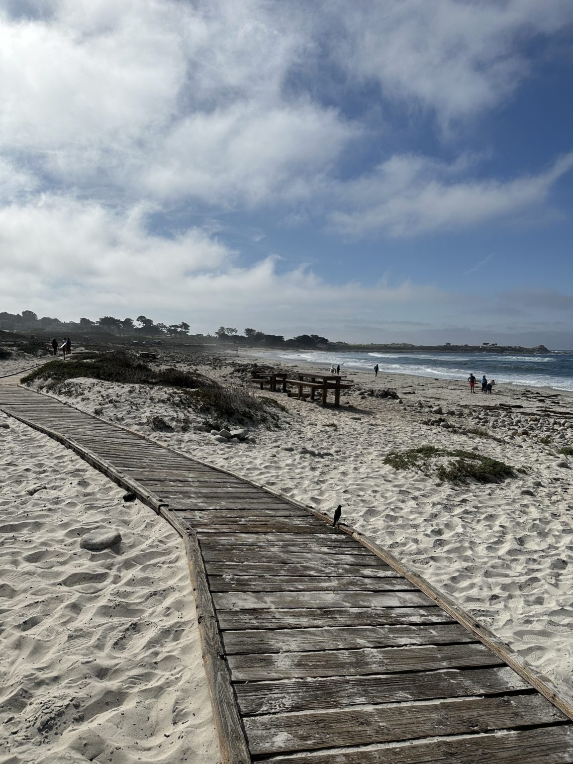 The Best 17-Mile Drive Stops (Monterey to Carmel) – Planning Away