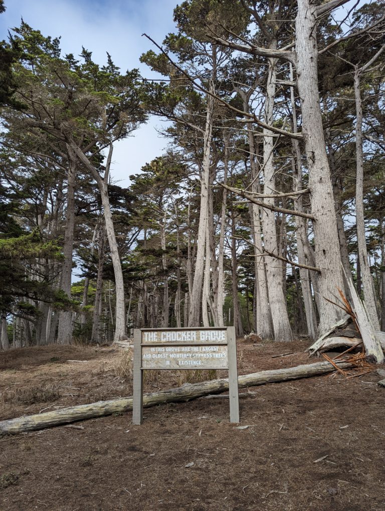 The Best 17-Mile Drive Stops (Monterey to Carmel) – Planning Away