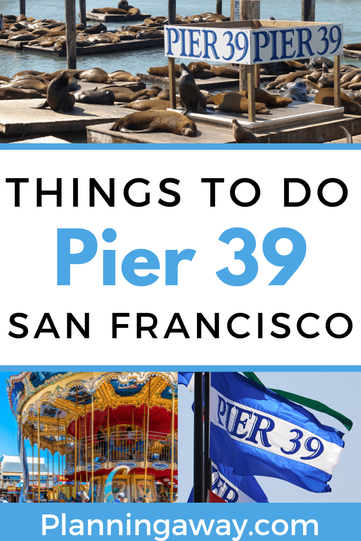 Fun Things To Do On Pier 39 With Kids (Best Pier 39 Attractions ...