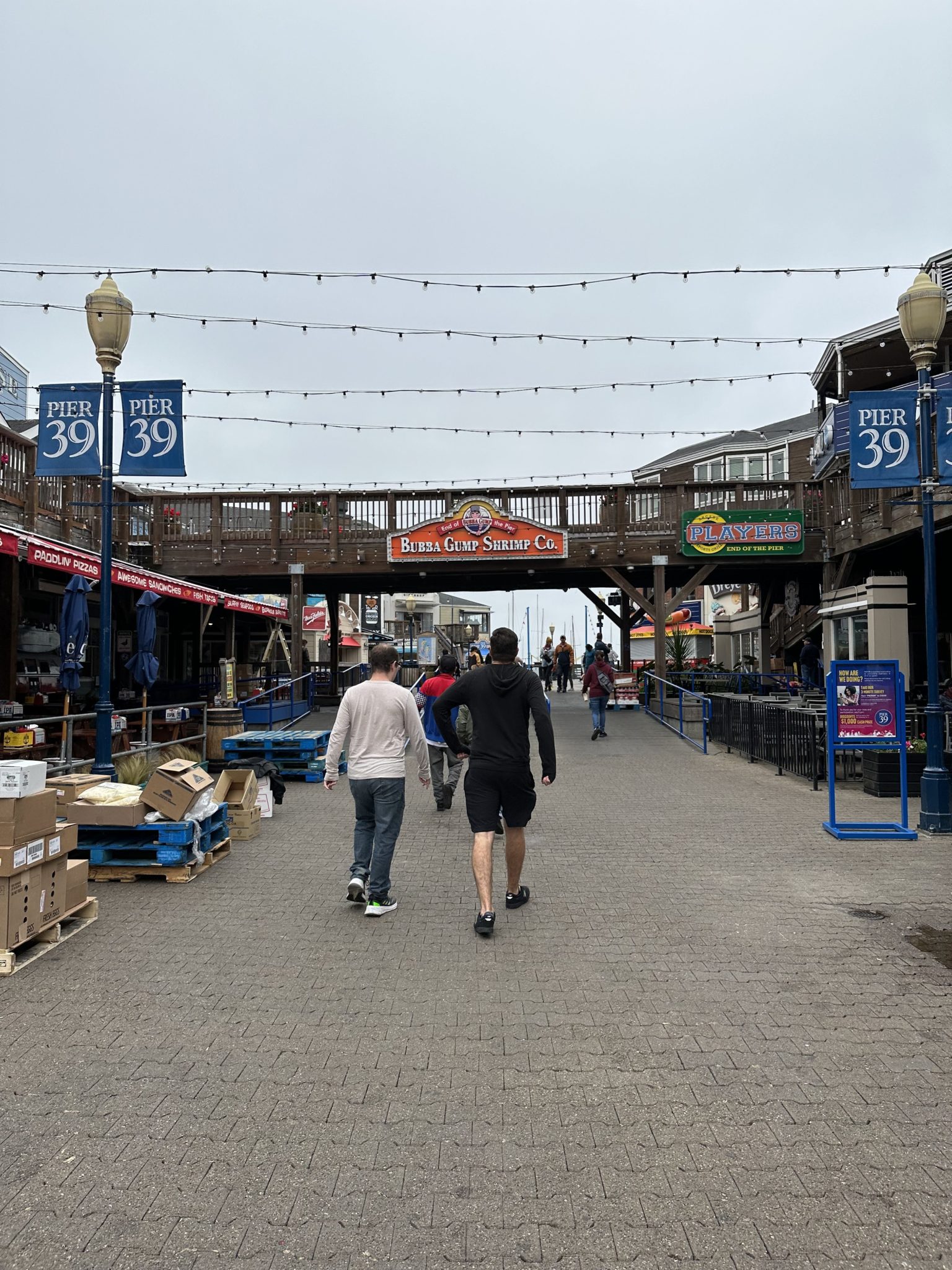 Fun Things To Do On Pier 39 With Kids (Best Pier 39 Attractions ...