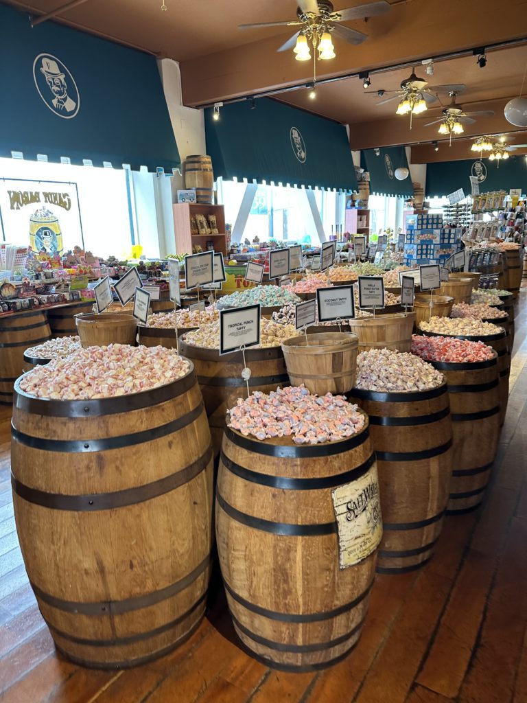Fun Things To Do On Pier 39 With Kids (Best Pier 39 Attractions ...