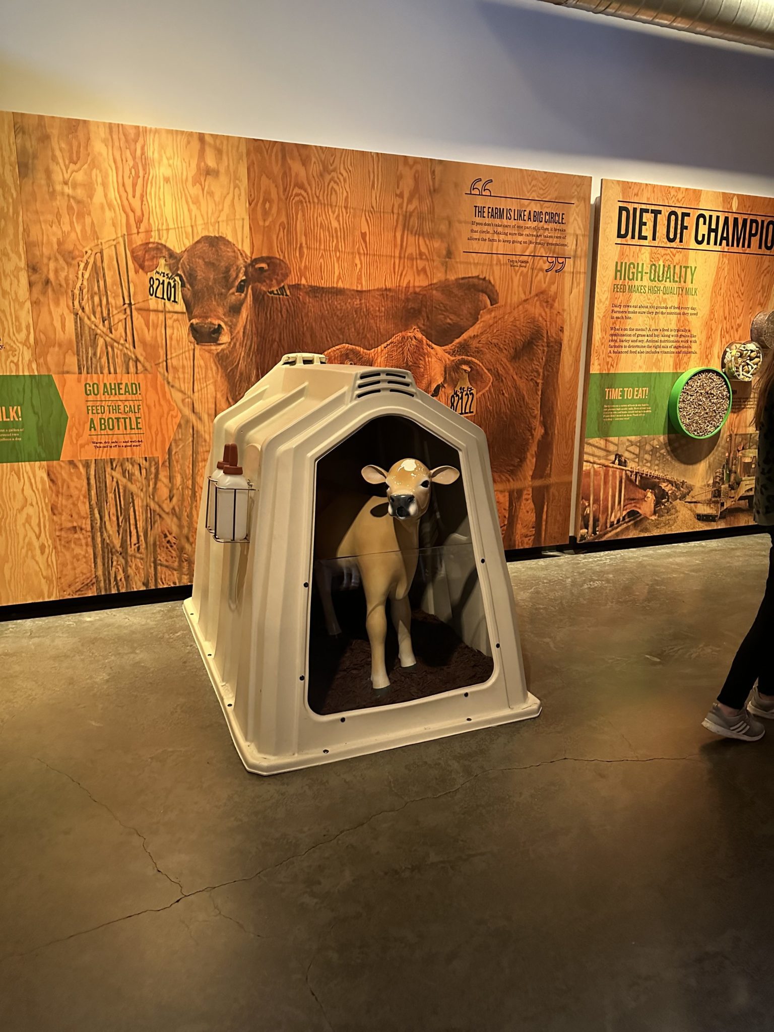 Tillamook Cheese Factory Tour (The Best Cheese Factory in Oregon ...