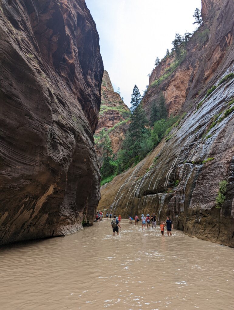 Zion National Park Tour For Families (Top 10 Zion Tours) – Planning Away