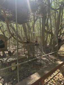 Maya Key Roatan (The Best Honduras Excursion For Families) – Planning Away