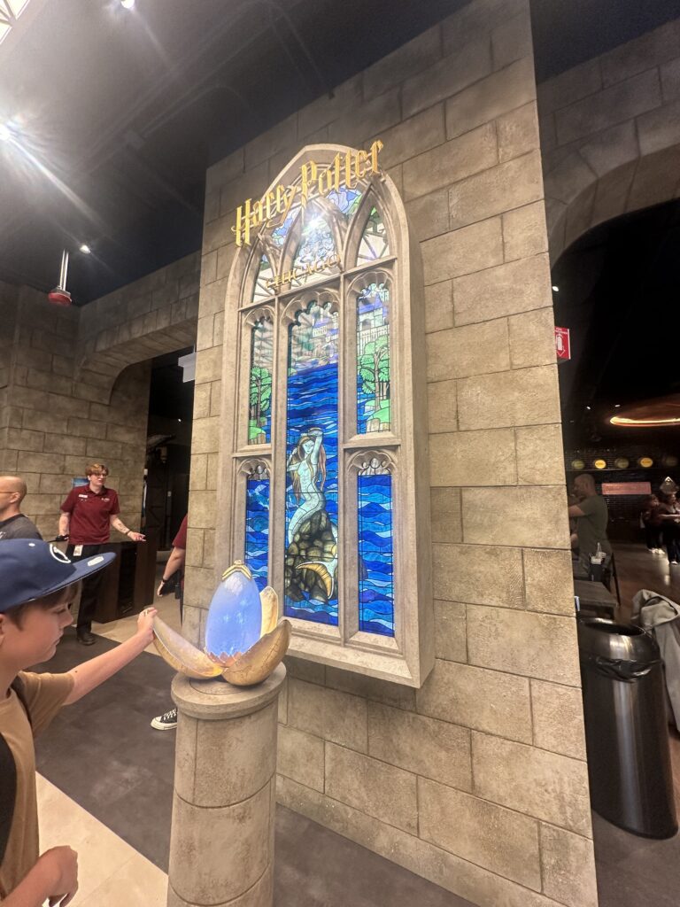 Plan Your Visit To The Harry Potter Chicago Store – Planning Away